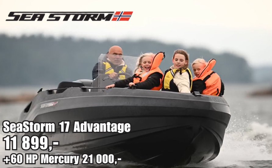 seastorm-boat.com